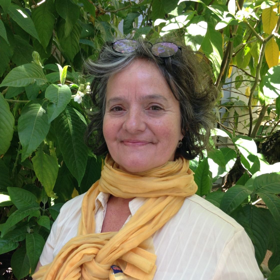 Saint Barts' beaches: the best spots