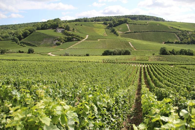 Champagne - Explore France