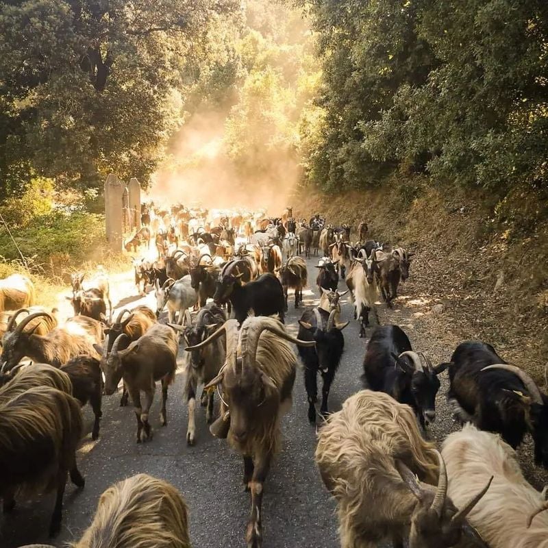 Les incontournables slow tourisme à découvrir en famille en Corse