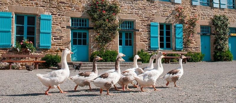 48 hours in Rennes with the kids