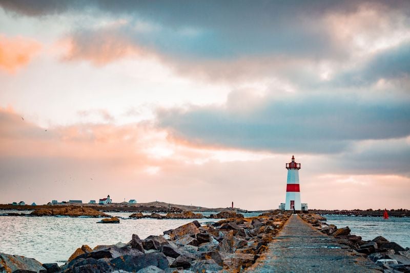 Saint Pierre and Miquelon: Paradise rich in flora and fauna