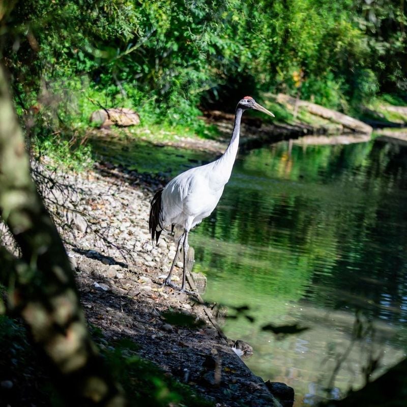 Les incontournables d'une visite à Amiens