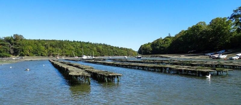 What it’s like to visit an oyster farm in Brittany