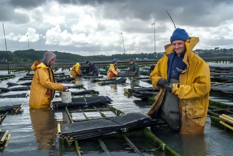 What it’s like to visit an oyster farm in Brittany