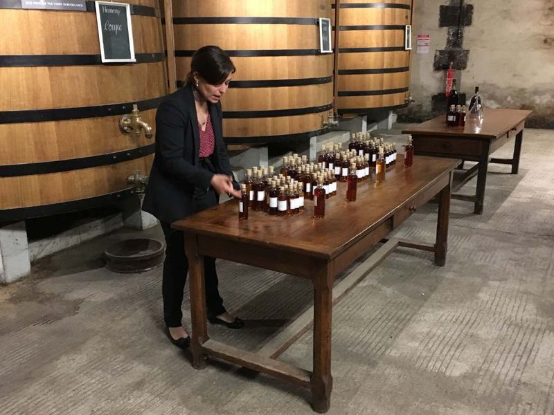 Vinruten i Cognac - France.fr