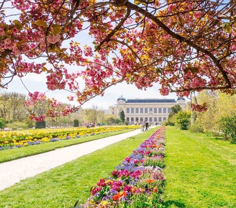 Family walks to enjoy nature in Paris, France