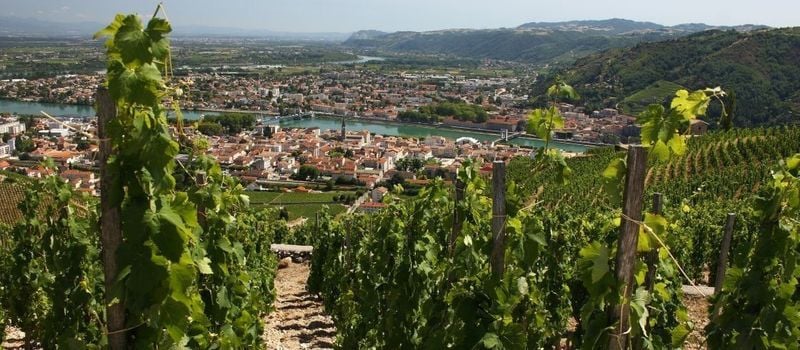 What to do in Lyon