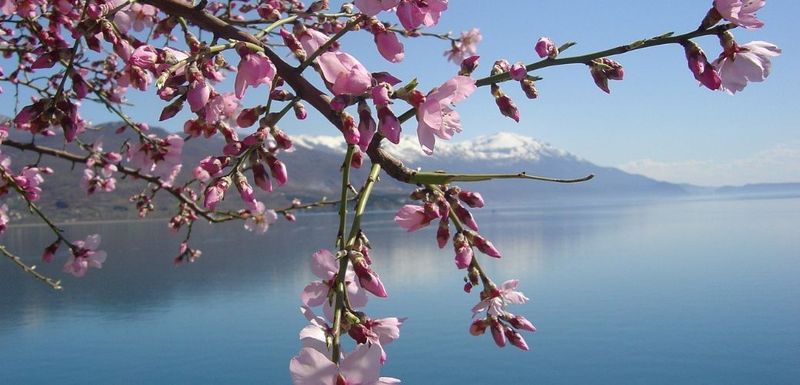 An overview of the most beautiful lakes in France