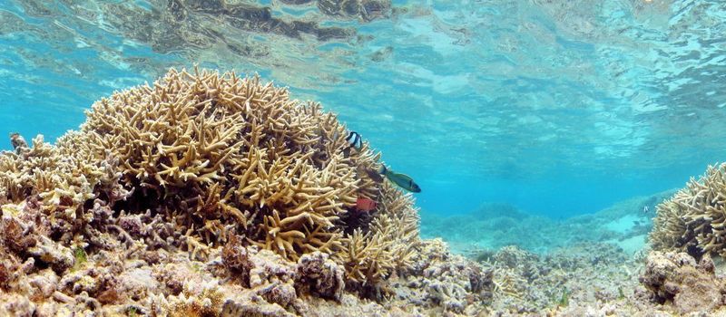 Isola della Réunion: cosa vedere, cosa vedere