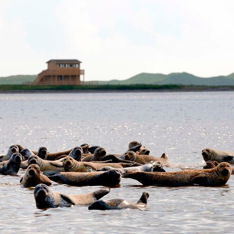Visitare Saint-Pierre e Miquelon