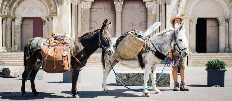 The Pilgrim route The Santiago de Compostela trails in France