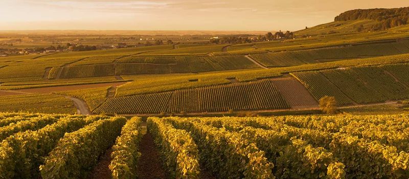 Champagne - Explore France