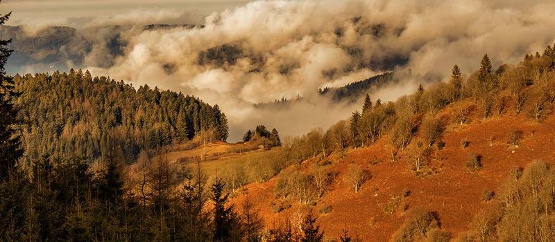 Cosa fare nel Massiccio dei Vosgi?