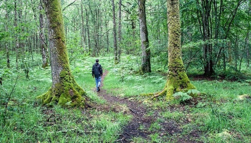 Forests: Brocéliande (Paimpont) and Huelgoat