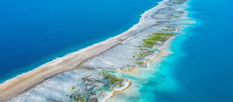 5 spécialités culinaires de Polynésie Française à découvrir