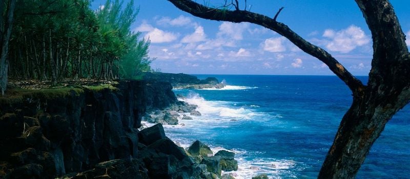 Visita la Isla de la Reunión