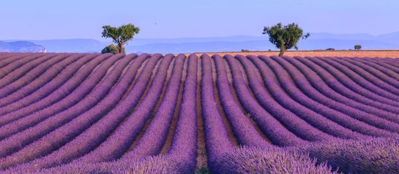 Provence, destination nature d'exception