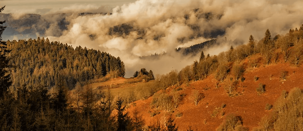 Vosges Mountains - Explore France
