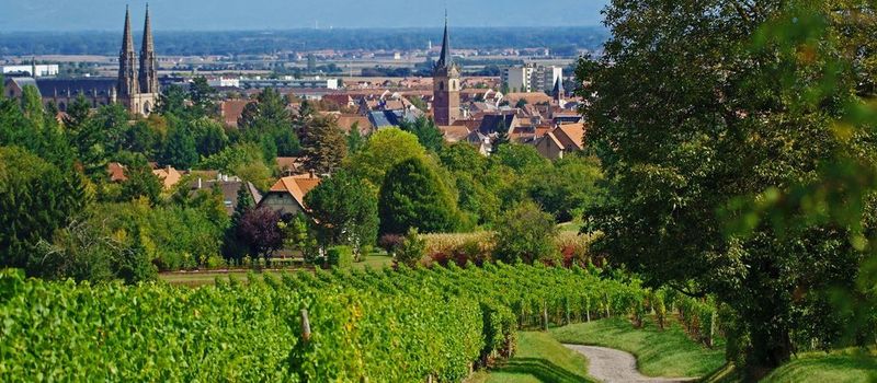 Obernai, uno de los principales atractivos de la Ruta de los Vinos