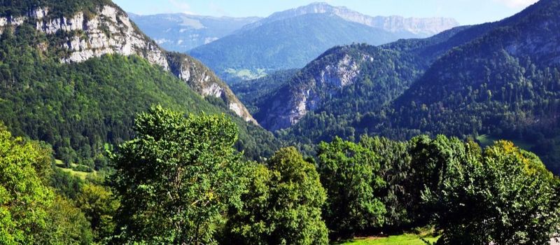 French forests to explore in all the regions of France