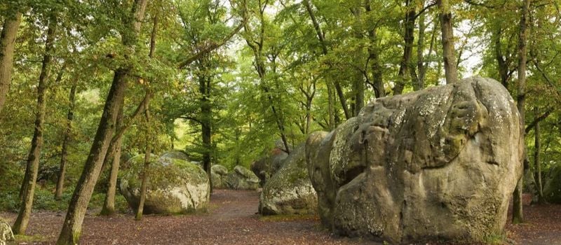 French forests to explore in all the regions of France