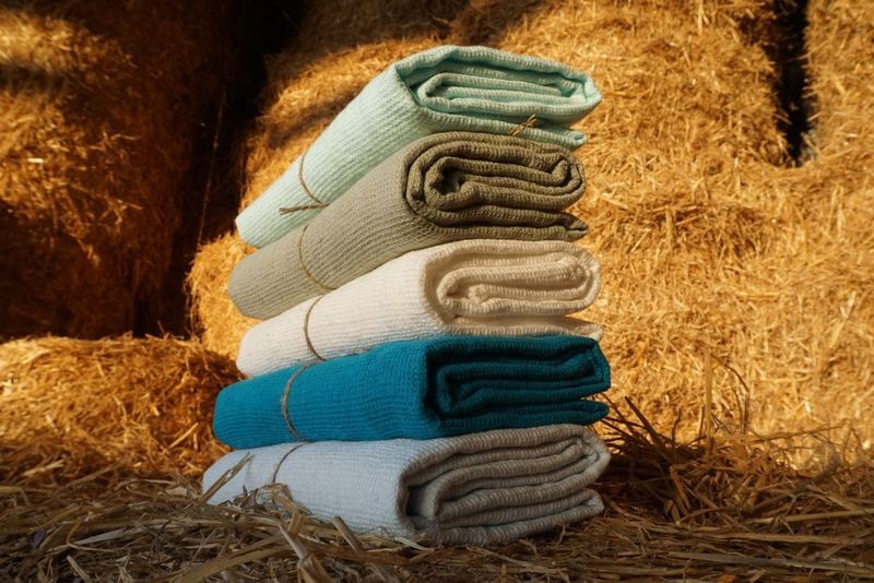 Le lin, fibre écologique et trésor produit en Normandie