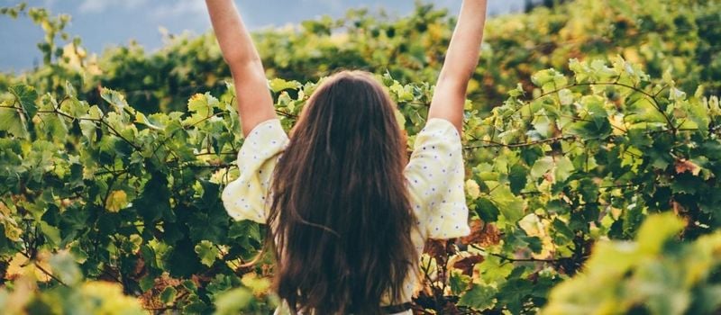 6 exciting nature-based experiences at France’s palace-hotels - Explore ...