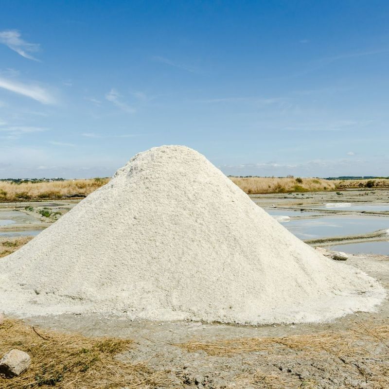 Flavours of the sea to enjoy on the French coast - Explore France