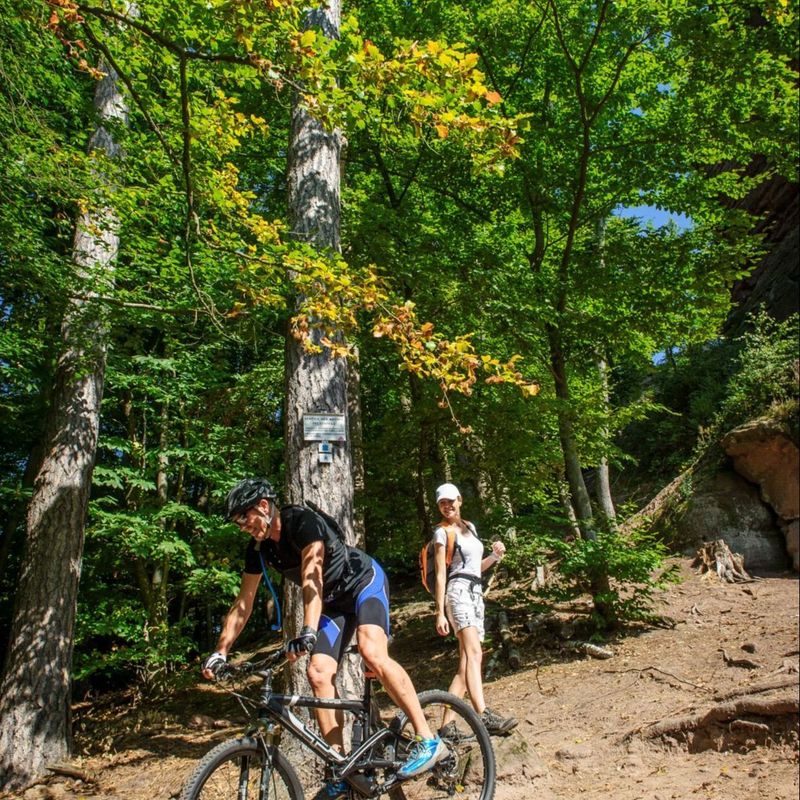 Relaxation and nature: the offers of the spa towns