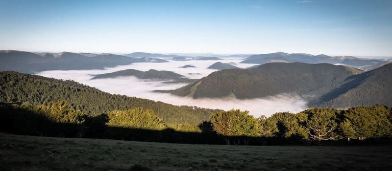The Iraty Forest in Basque Country New Aquitaine, near the Pyrenees