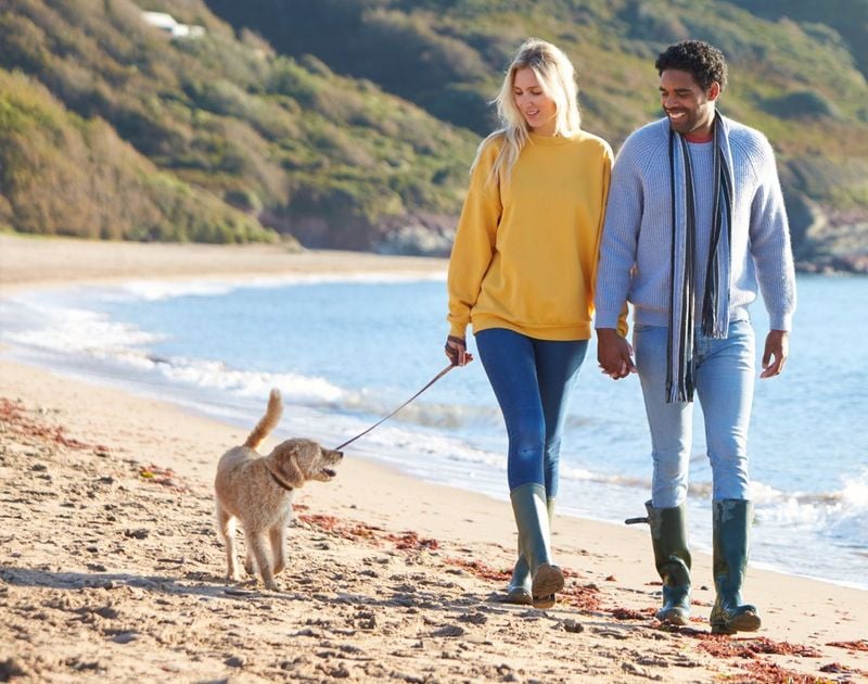 Todo lo que debes saber para viajar a Francia con tu mascota