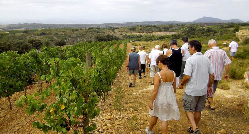 Il Crest Petit, un patrimonio rurale unico nel Roussillon - Explore France
