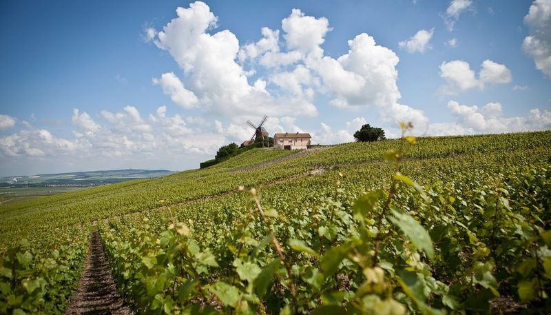 The Champagne Route