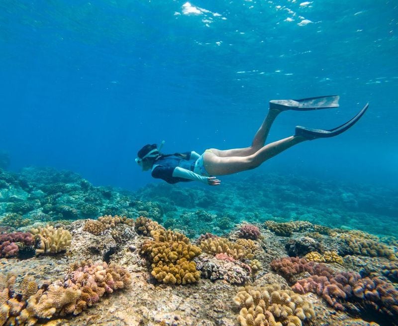 Visita la Isla de la Reunión