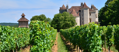 Le vignoble du Sud-Ouest