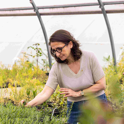 Women Chefs: 5 Exceptional Talents Reinventing French Gastronomy