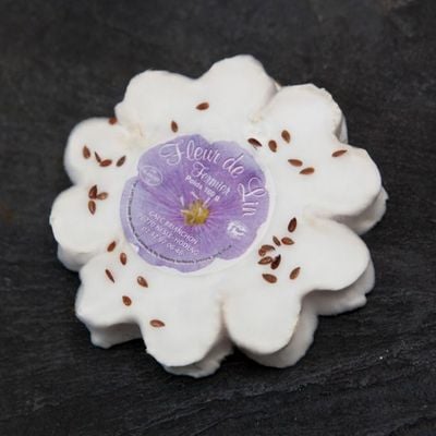 Le lin, fibre écologique et trésor produit en Normandie