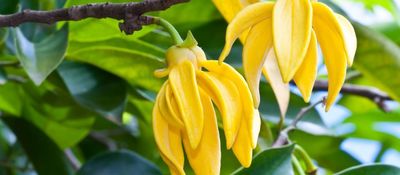 Mayotte: cosa vedere, cosa fare... - Explore France