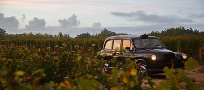 Discovering French vineyards off the beaten track... - Explore France