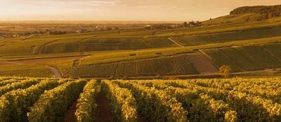 Champagne : passeios e atividades