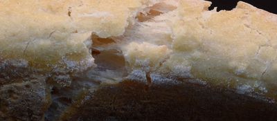 Object of desire: the baguette - Explore France