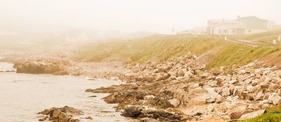 Saint Pierre and Miquelon: Paradise rich in flora and fauna