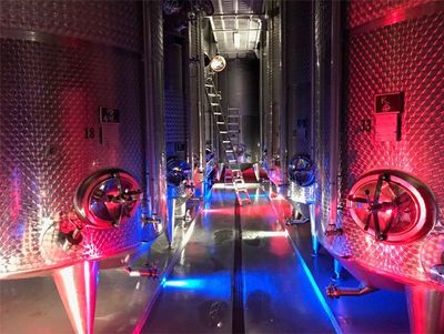 Les secrets de fabrication des vins de la Maison Cattin d'Alsace