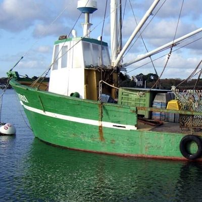 The French scallop: 5 minutes to know everything