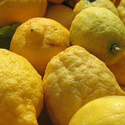 Le citron de Menton en détail
