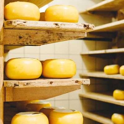 Learn more about Raclette with this expert guide