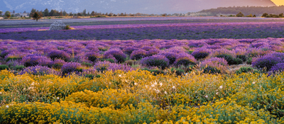 검색 - Explore France