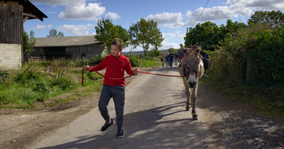 Donkey riding in the Marais Vernier, Normandy