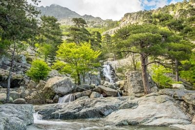 French forests to explore in all the regions of France