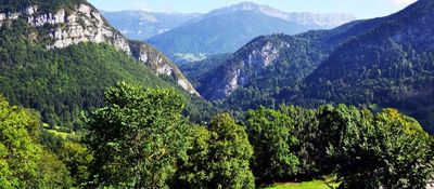 French forests to explore in all the regions of France
